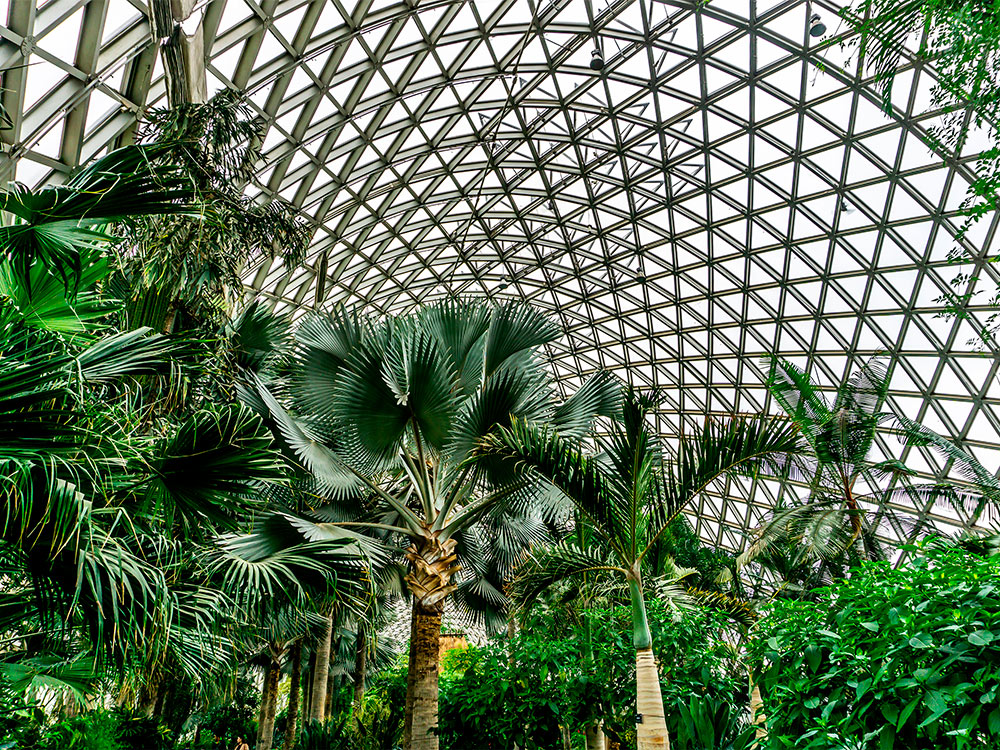 Arquitectura bioclimática logra eficiencia energética en climas d